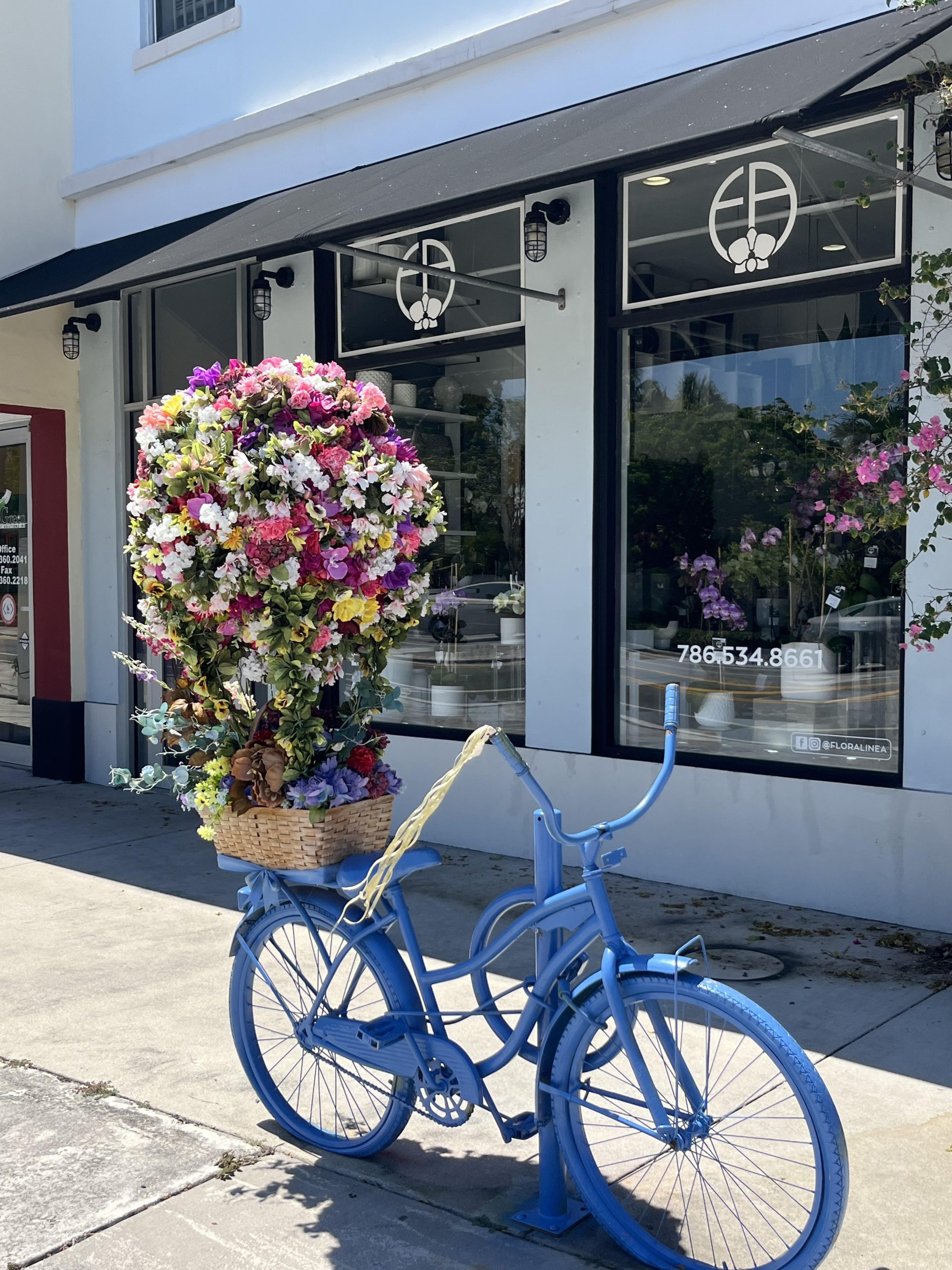 Welcome to the Little Bahamas Business Corridor - Coconut Grove Spotlight