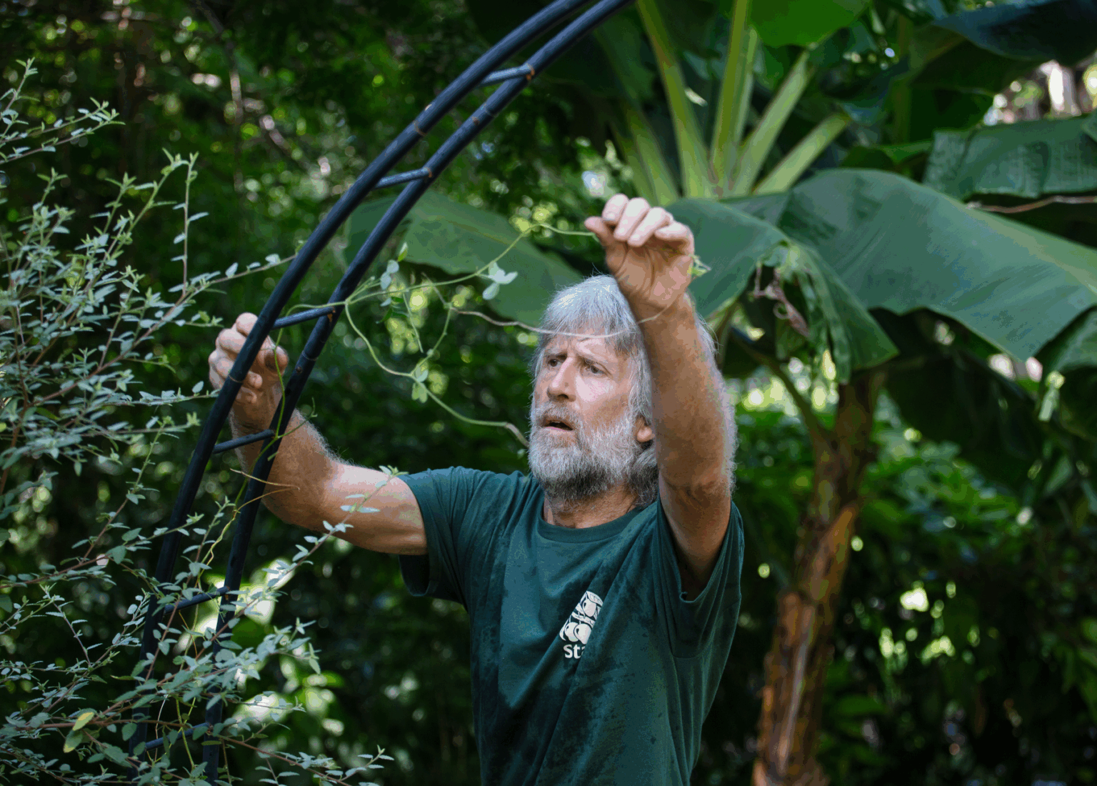 Grove’s Hidden Eden: The Kampong Opens Its Gates - Coconut Grove Spotlight