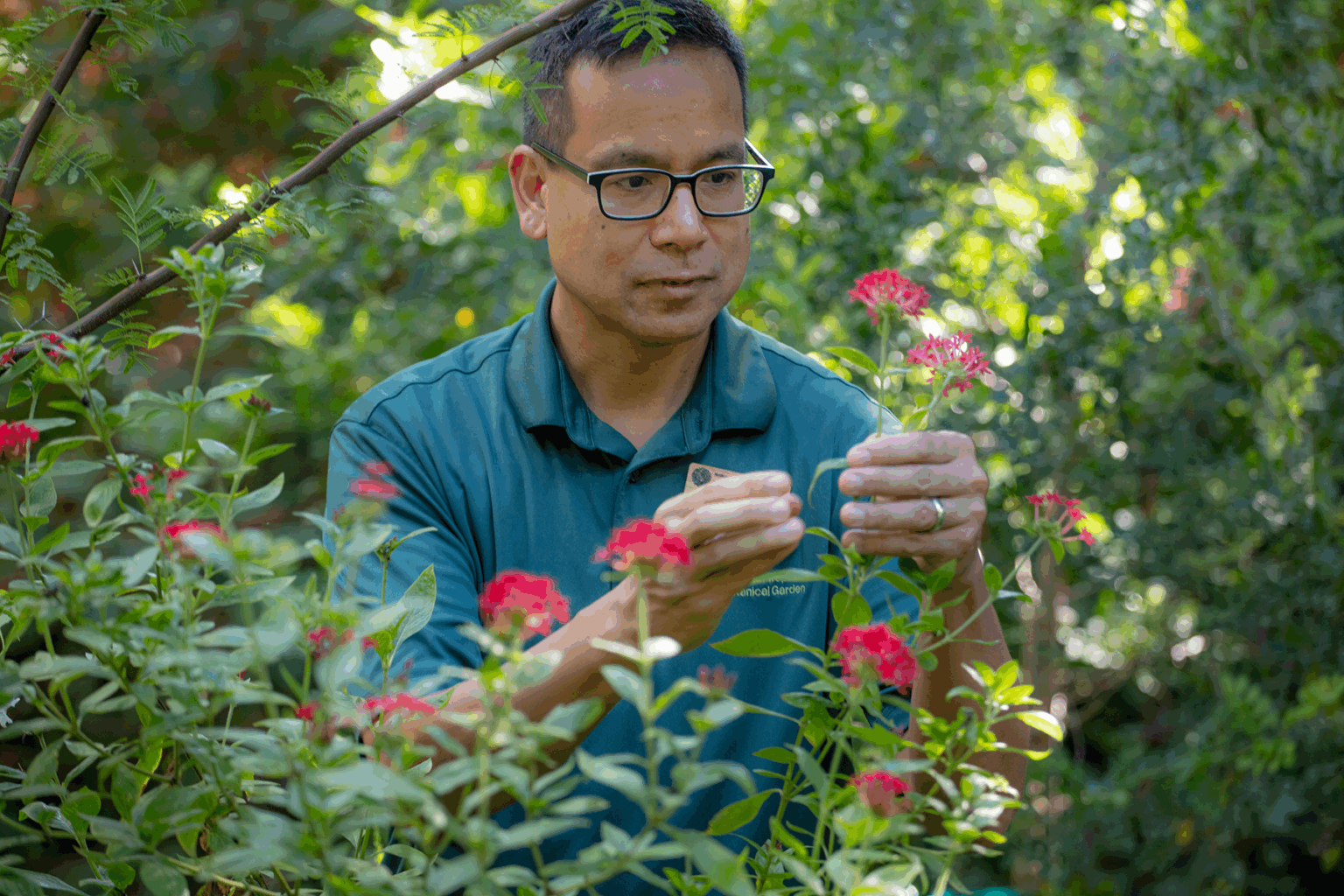 Grove’s Hidden Eden: The Kampong Opens Its Gates - Coconut Grove Spotlight