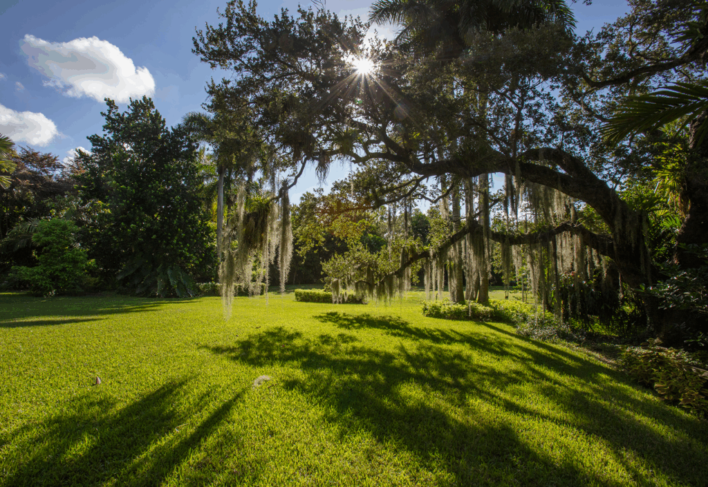 Grove’s Hidden Eden: The Kampong Opens Its Gates - Coconut Grove Spotlight