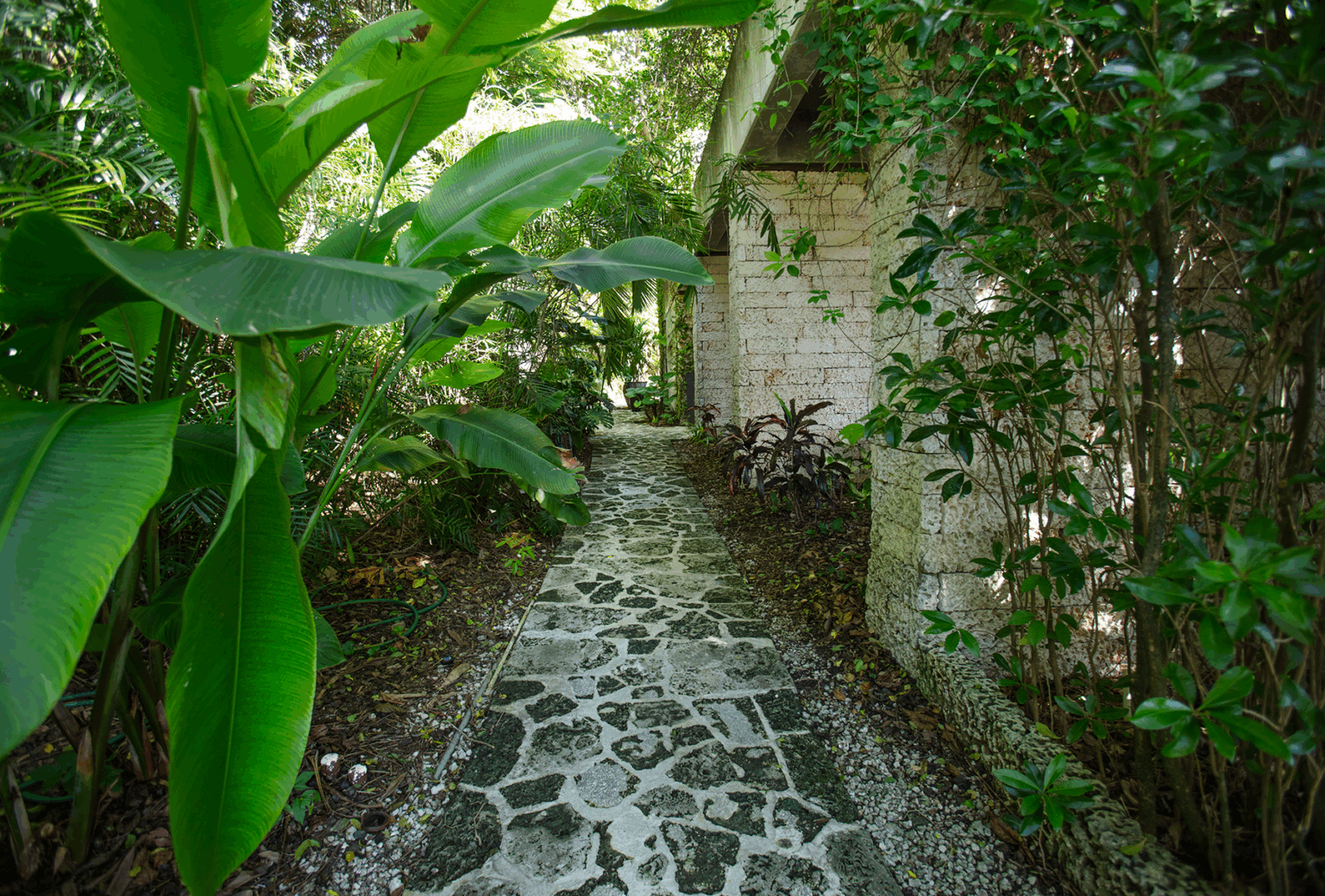 Grove’s Hidden Eden: The Kampong Opens Its Gates - Coconut Grove Spotlight