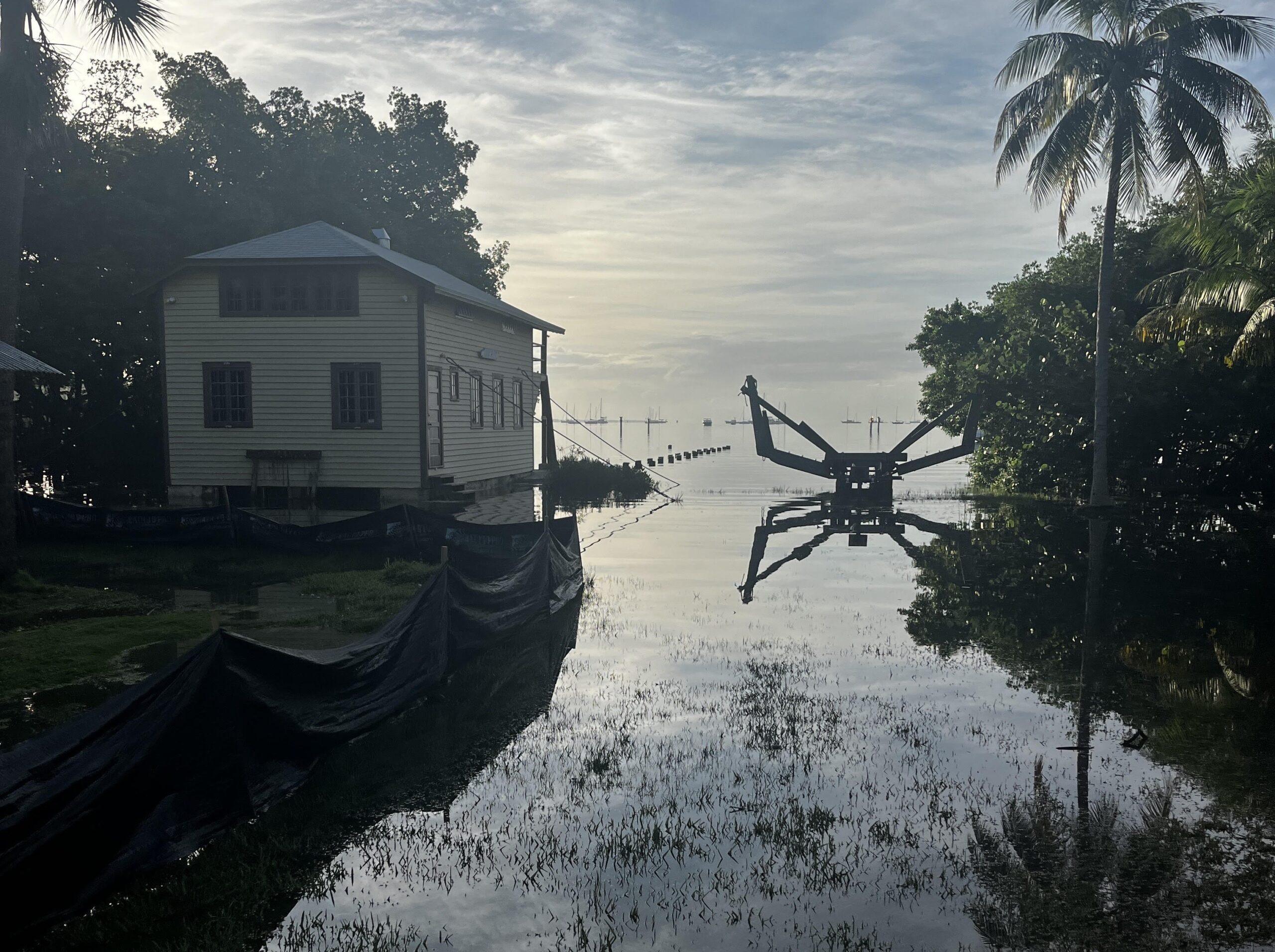 Peak Tide Season Returns to the Grove - Coconut Grove Spotlight