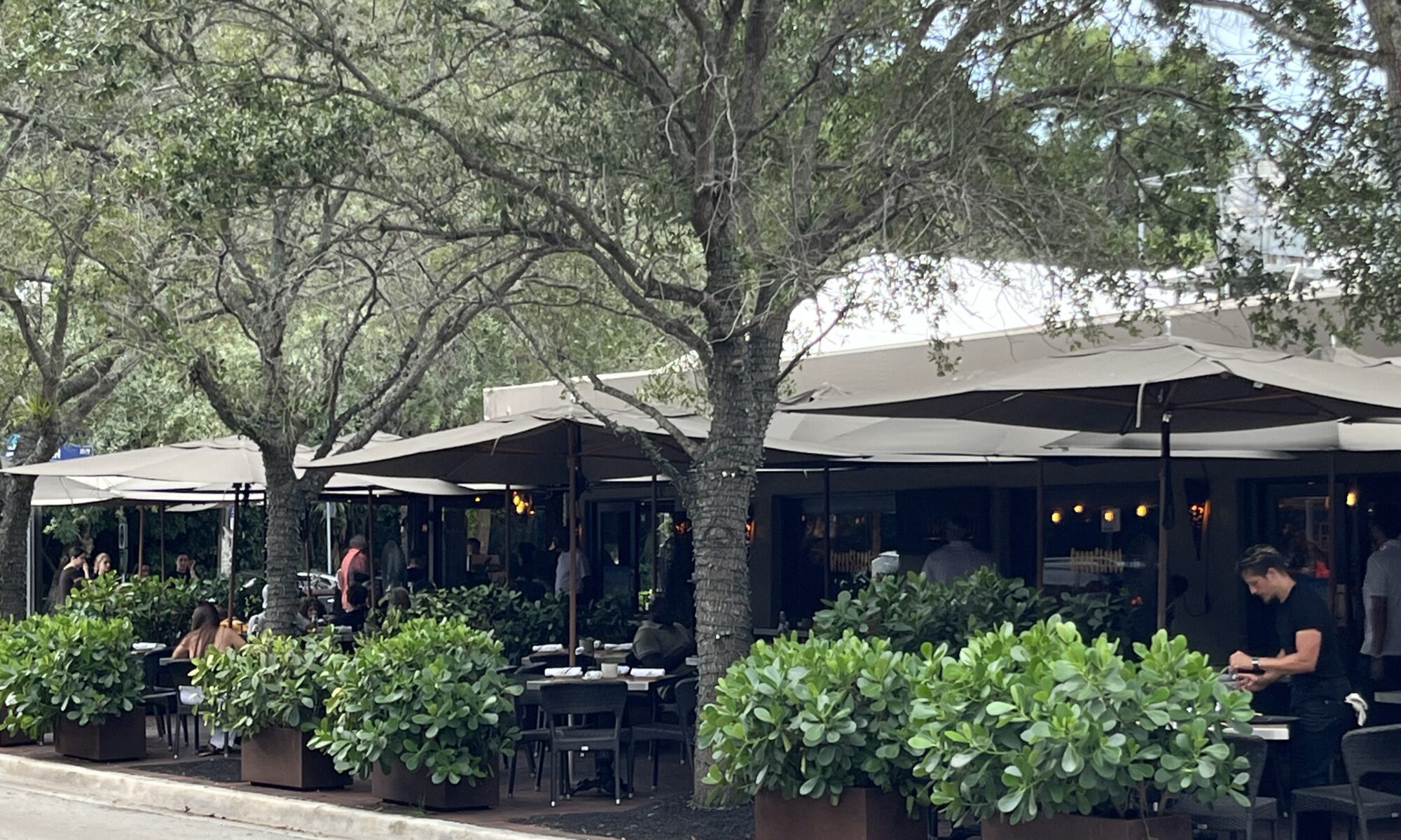 Dining Out? Grove Sidewalks Are Feeling the Squeeze - Coconut Grove ...