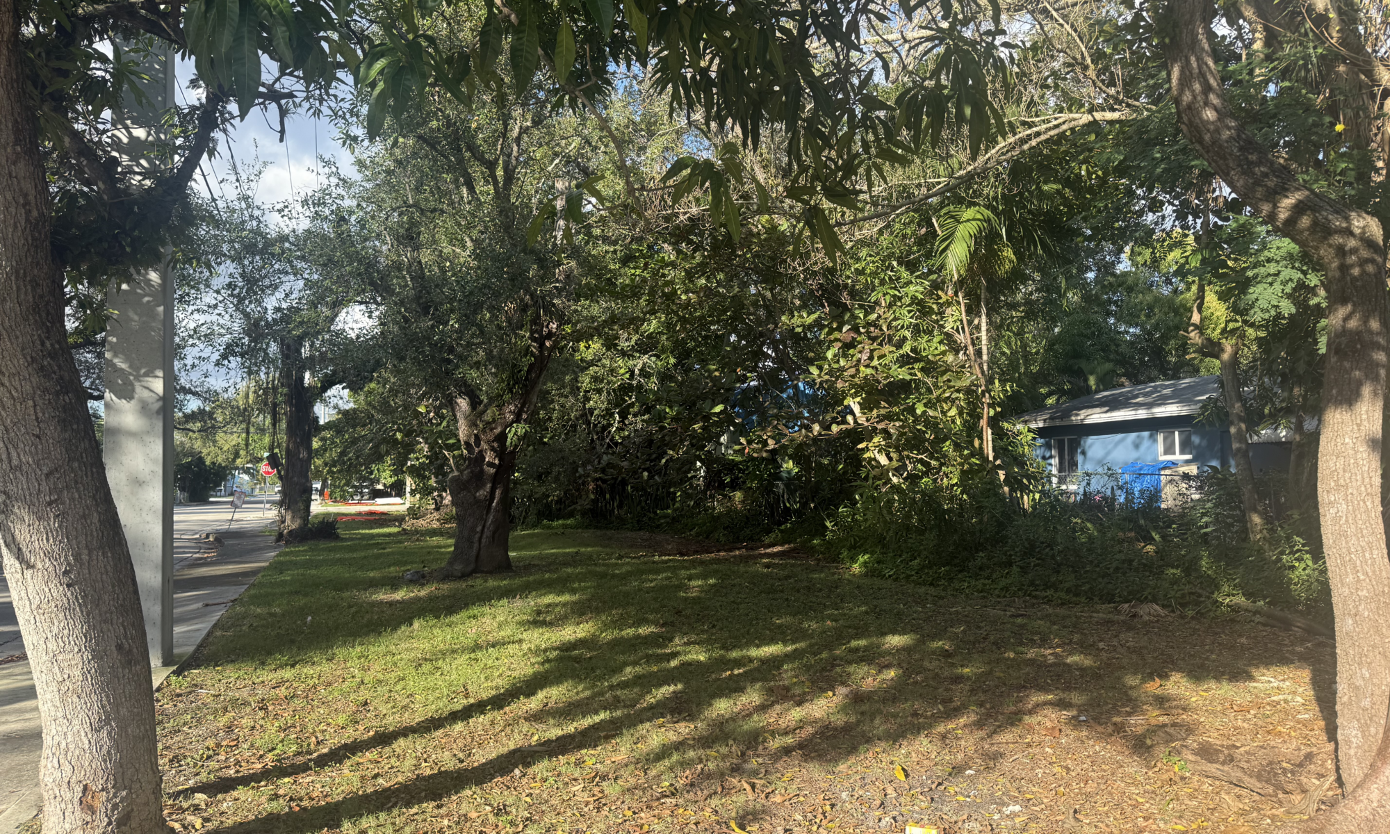 City Acquires Land for West Grove Park - Coconut Grove Spotlight