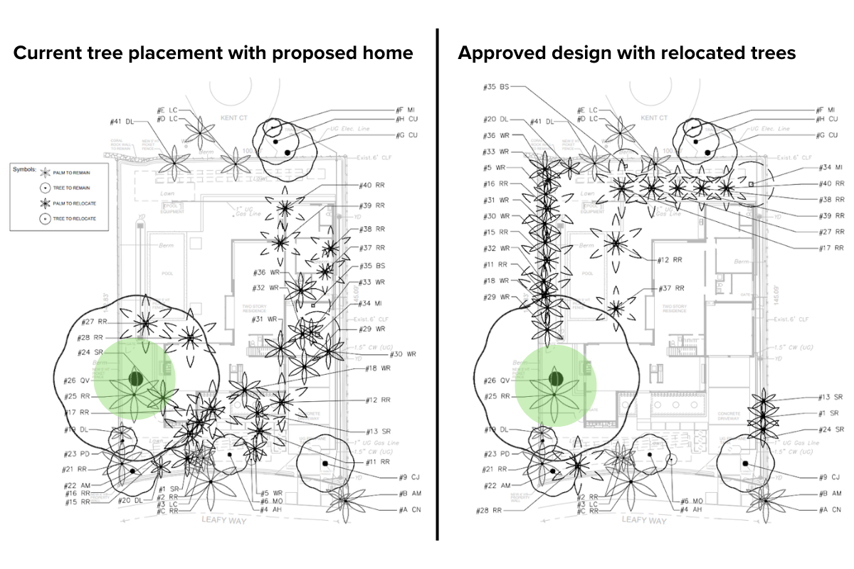 Leafy Way Tree Plan Approved After Major Revisions - Coconut Grove ...
